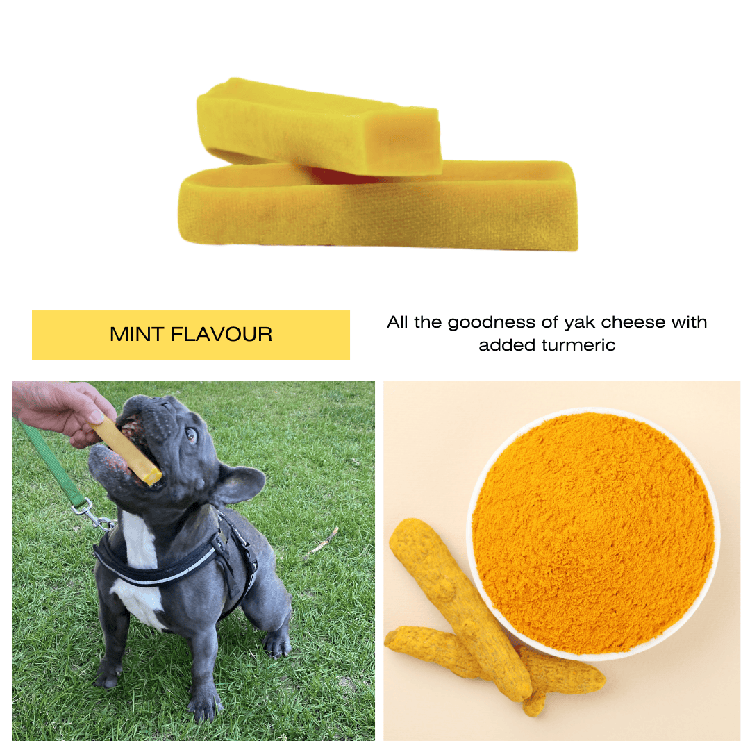 Turmeric Yak Cheese Chews - Medium | Nepalaya